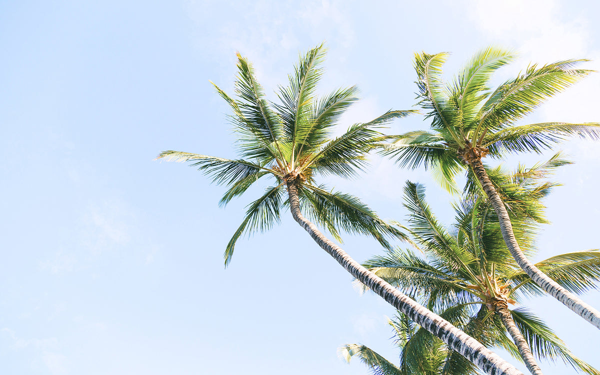 AKALO | Wearable Wellness | AKALO